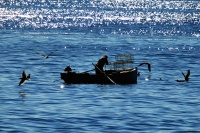 Fishing | Dugi otok