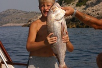Fishing | Dugi otok